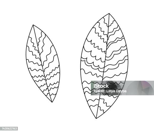 Daun Bergaya Ilustrasi Vektor Dengan Garis Tipis Pohon Ranting Daun