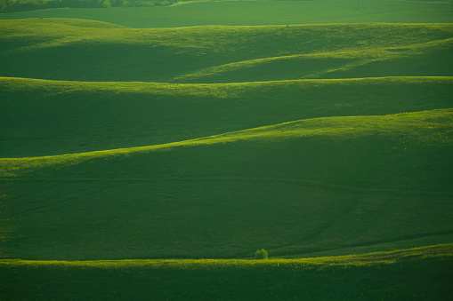 Free picture: Summer time in greenish yellow hillside with dark grey clouds Free picture: Summer time in greenish yellow hillside with dark grey clouds