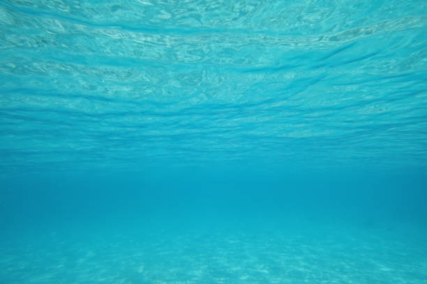 580+ Beach With White Sand Bottom Underwater View Stock Photos ... 580+ Beach With White Sand Bottom Underwater View Stock Photos ...