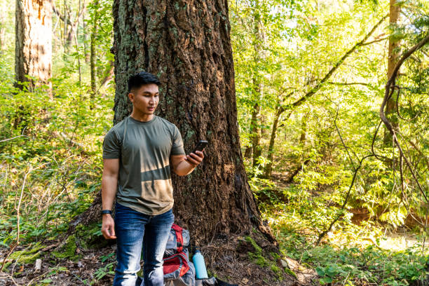 Free Stock Photo of Man Holding Picture of Trees in Woods | Download ...