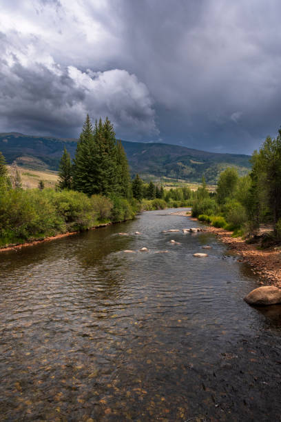Blue River Pictures | Download Free Images on Unsplash