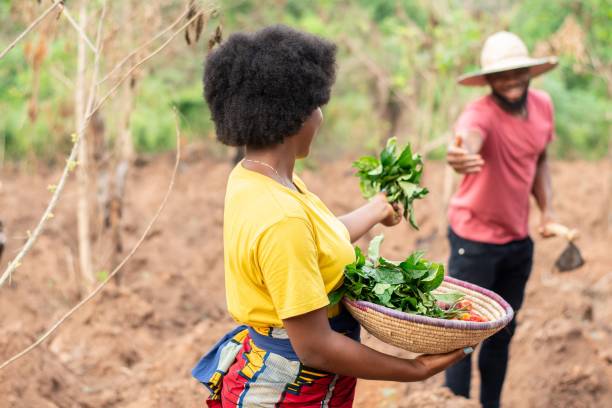 500+ Nigeria Pictures | Download Free Images on Unsplash