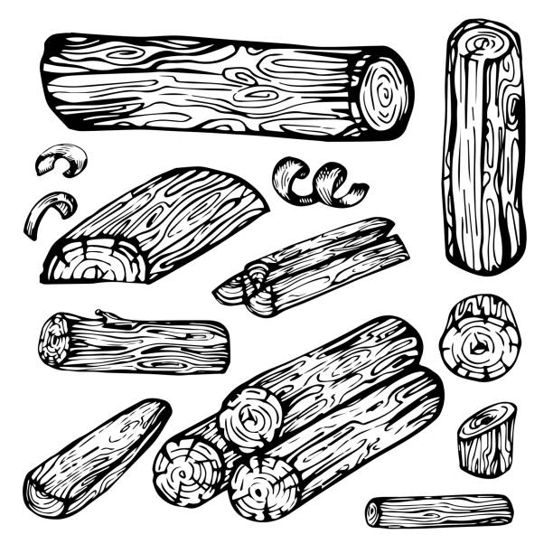 Ecorce Darbre Vectoriels Et Illustrations Libres De Droits Istock