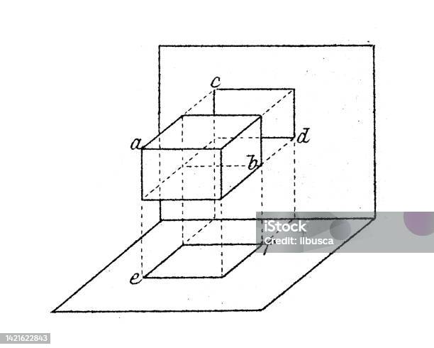 Illustration Ancienne Mathématiques Et Géométrie Projections Et