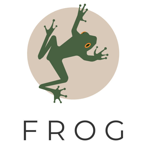 Download Toad, Frog, Animal. Royalty-Free Vector Graphic - Pixabay