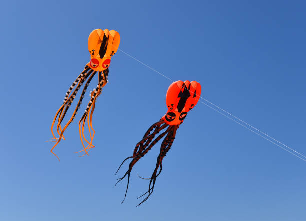 Free picture: streamers, kite, flying