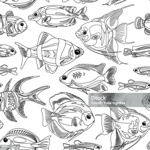 Pola Mulus Dengan Ikan Hitam Dan Putih Diisolasi Dengan Latar Belakang