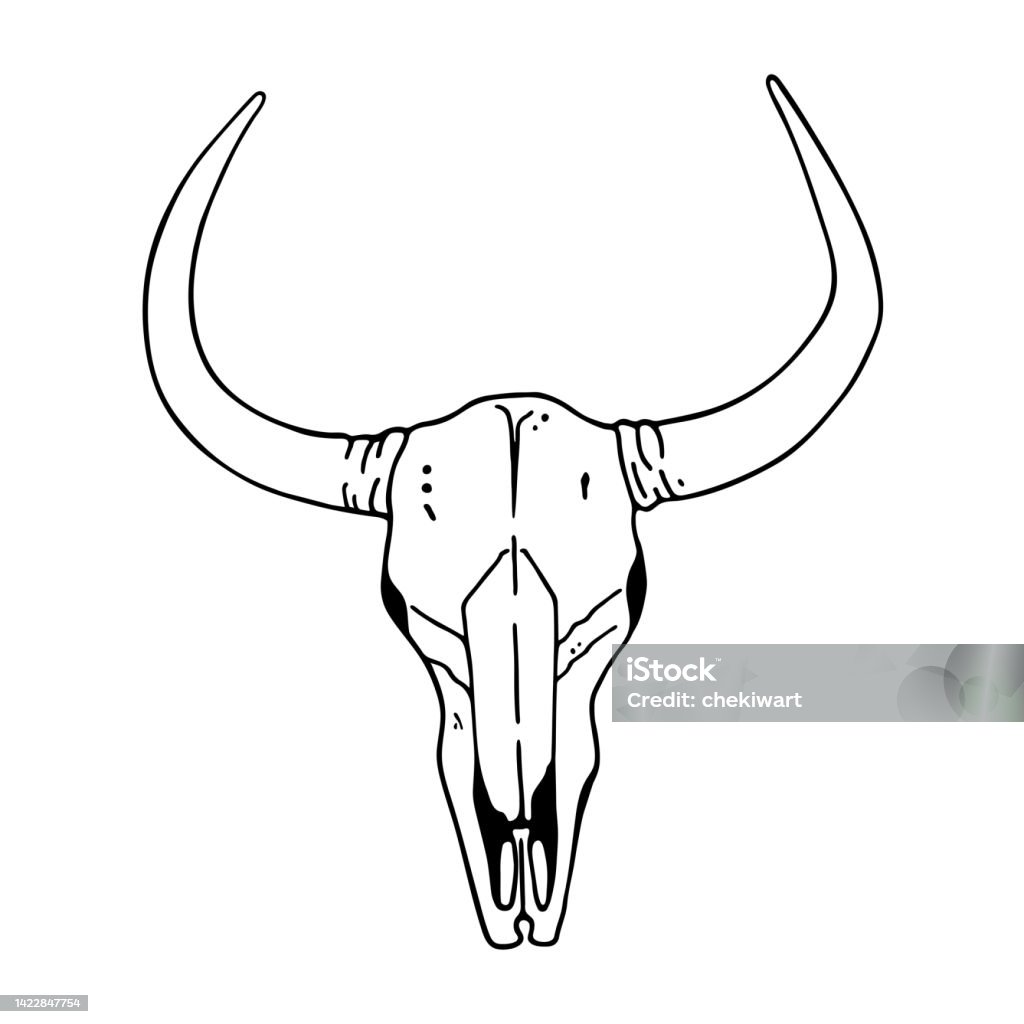 Sketsa Tengkorak Kerbau Yang Digambar Tangan Ilustrasi Stok - Unduh ... Sketsa Tengkorak Kerbau Yang Digambar Tangan Ilustrasi Stok - Unduh ...
