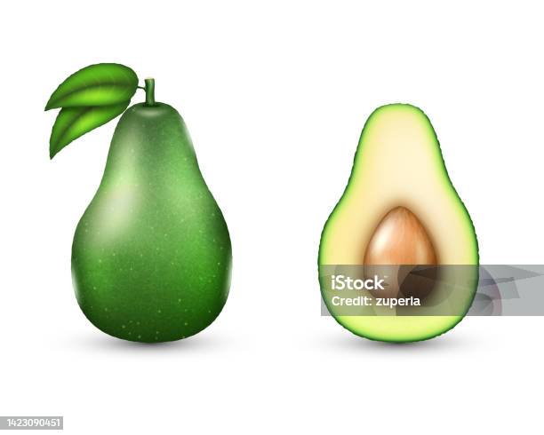 Fruit Davocat Vert Réaliste Entier Et Demi Coupé Section De Légumes