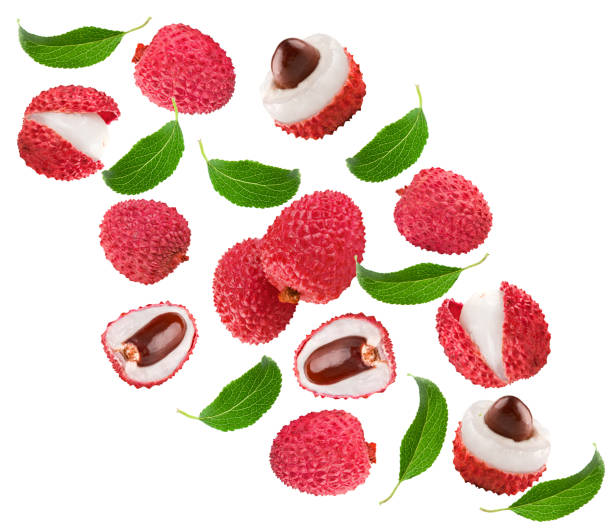 30k+ Lychee Pictures | Download Free Images on Unsplash