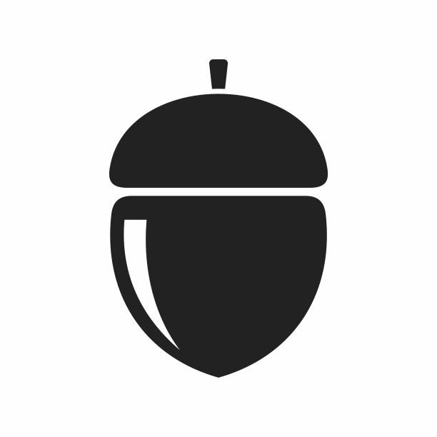 42,900+ Acorn Stock Illustrations, Royalty-Free Vector Graphics & Clip ... 42,900+ Acorn Stock Illustrations, Royalty-Free Vector Graphics & Clip ...