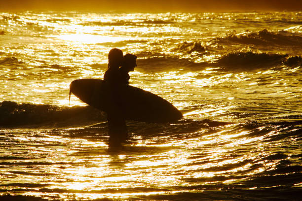 Free Stock Photo of Silhouette of the happy family playing in the surf ...