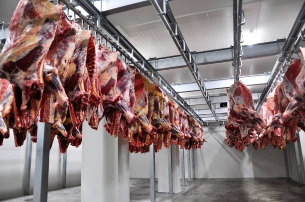 Meat Industry Pictures | Download Free Images on Unsplash