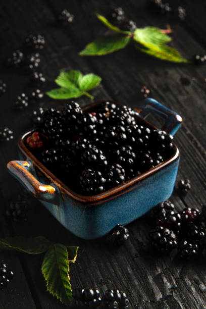 Blackberries Pictures | Download Free Images on Unsplash