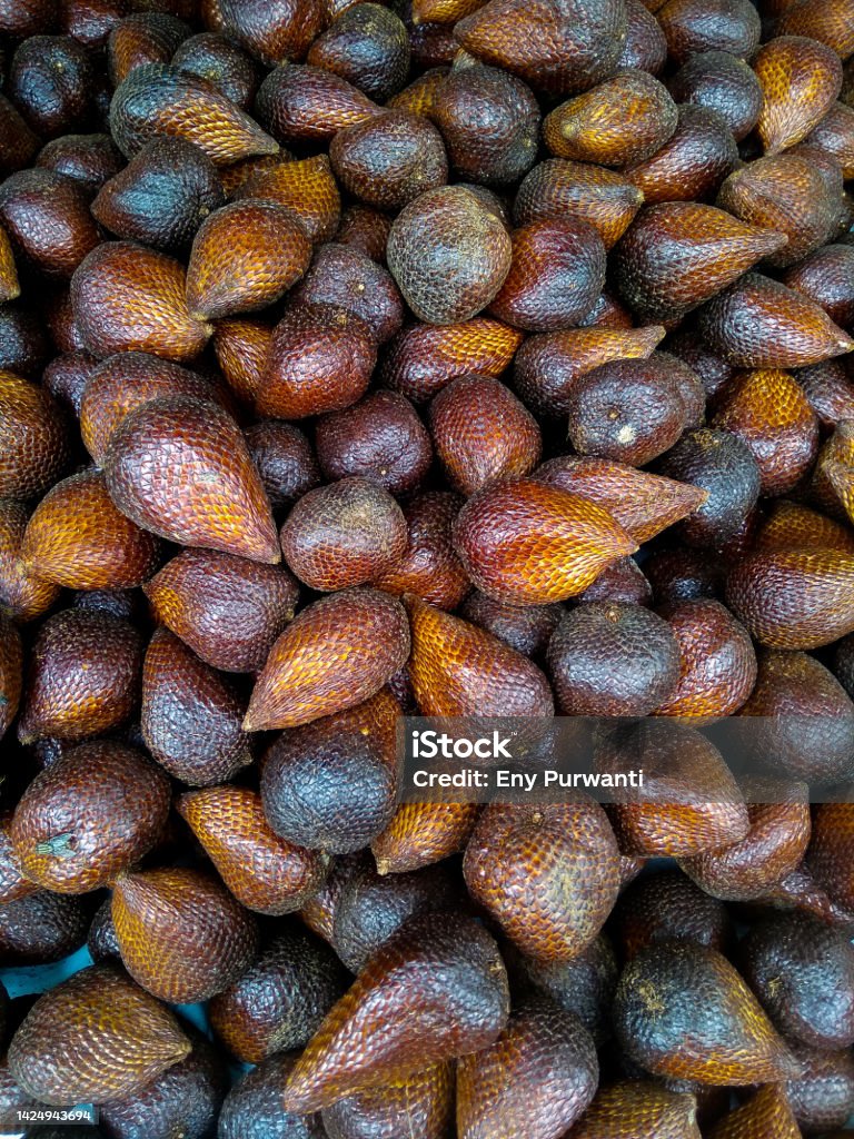 Photo Libre De Droit De Fruit De Serpent Un Fruit De Palmier Dasie Du