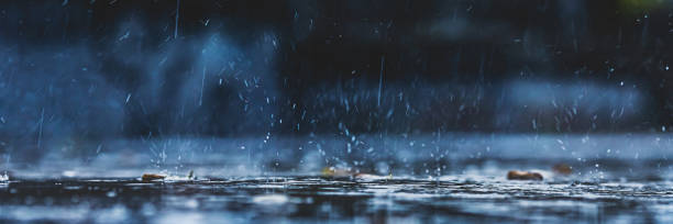 Free rainfall stock photos. Download the best free rainfall images at ...