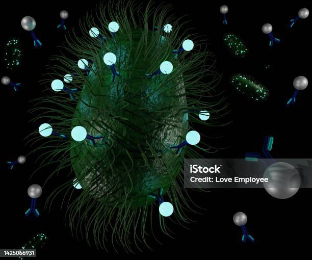 Quantum Dot Immunoassay Nanosensor Berbasis Fluoresen Untuk Deteksi ... Quantum Dot Immunoassay Nanosensor Berbasis Fluoresen Untuk Deteksi ...