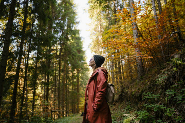 Free Stock Photo of Explorer in the forest looking away | Download Free ...