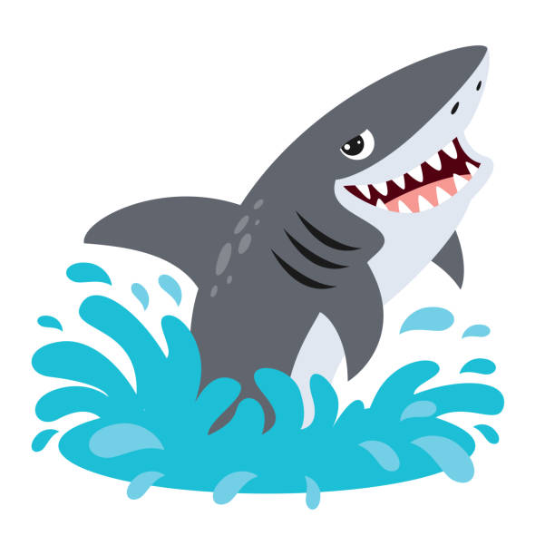 Clipart Shark