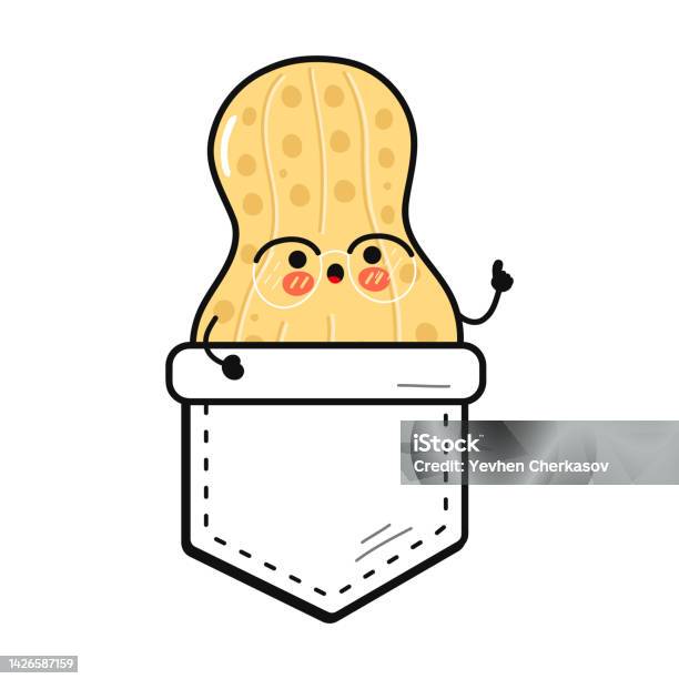 Cute Funny Peanut Pocket Tshirt Printvector Cartoon Doodle Line Style