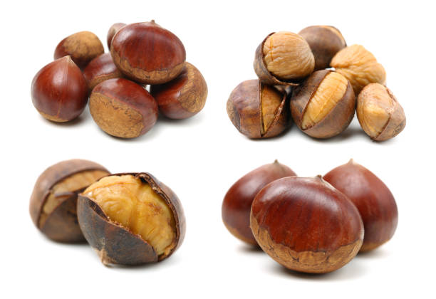 Chestnut Pictures | Download Free Images on Unsplash