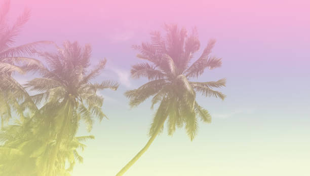 Light Theme Pictures | Download Free Images on Unsplash