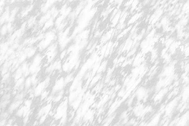 1000+ Lyrics Background Pictures | Download Free Images on Unsplash