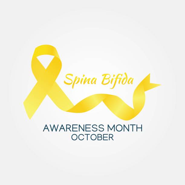20 Spinal Bifida Illustrations Royalty Free Vector Graphics And Clip