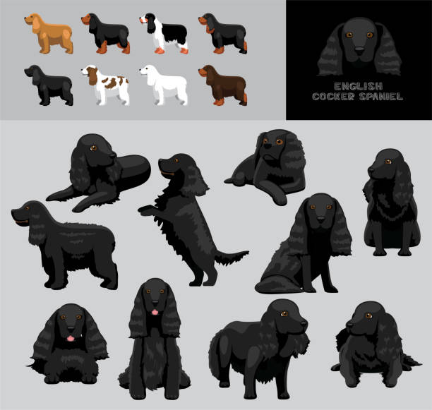 Free Animal Vector Clipart Coker