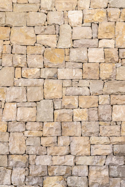 750+ Stone Wall Pictures | Download Free Images on Unsplash