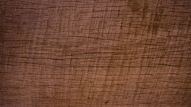 Free Stock Photo of Wooden end grain texture | Download Free Images and ...