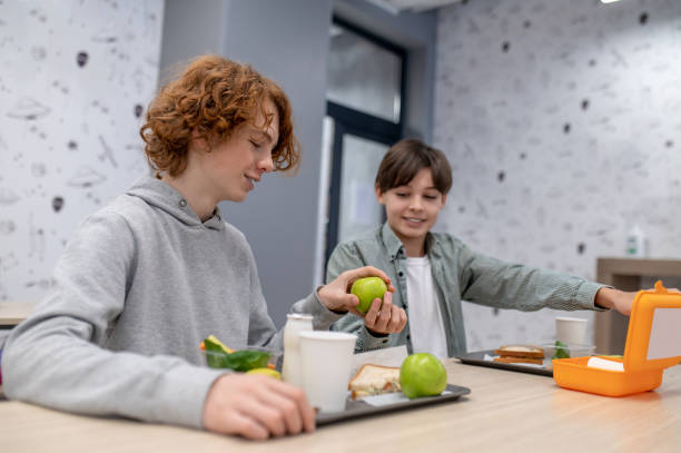 School Lunch Pictures | Download Free Images on Unsplash