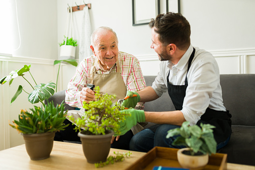 Padre Mayor Regando Las Plantas Y Gaderning Con Su Feliz Hijo Foto de ... Padre Mayor Regando Las Plantas Y Gaderning Con Su Feliz Hijo Foto de ...