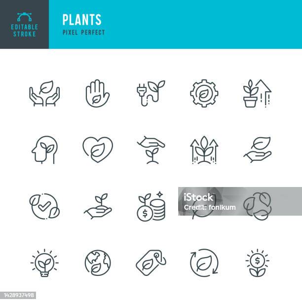Plantes Ensemble Vectoriel Dicônes Linéaires Pixel Parfait Contour