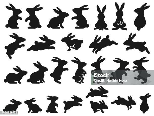 Ensemble Dillustrations De Lapins Dans Diverses Poses Vecteurs Libres