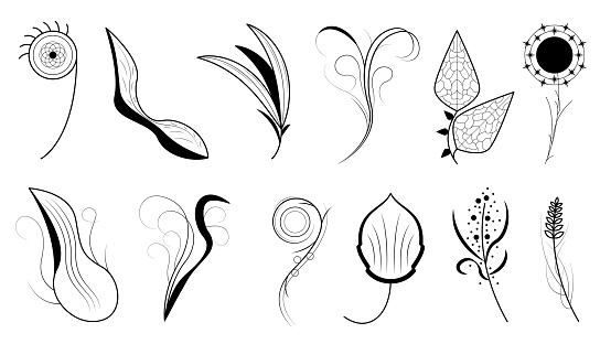 Abstrak Set Elemen Doodle Koleksi Gambar Tangan Botanic Herbal Flora Daun Cabang Vine Bunga