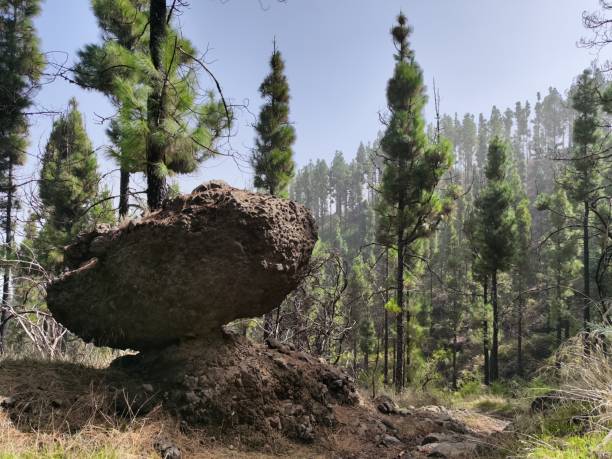 Free Stock Photo of Large Rock Formation With Trees | Download Free ...