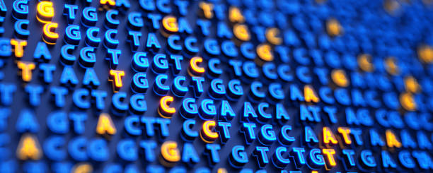 Free sequencing stock photos. Download the best free sequencing images ...