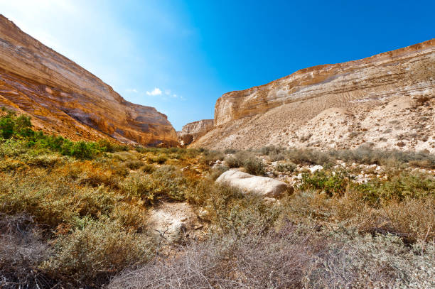 Free negev stock photos. Download the best free negev images at ...