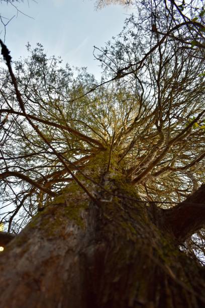 Narnia Pictures | Download Free Images on Unsplash