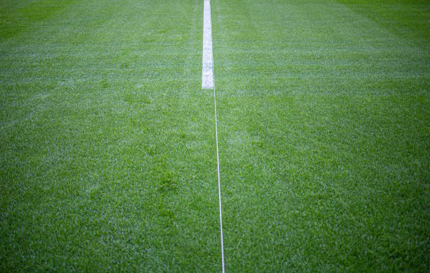 Free Stock Photo of Football Resting on Lush Green Field | Download ...