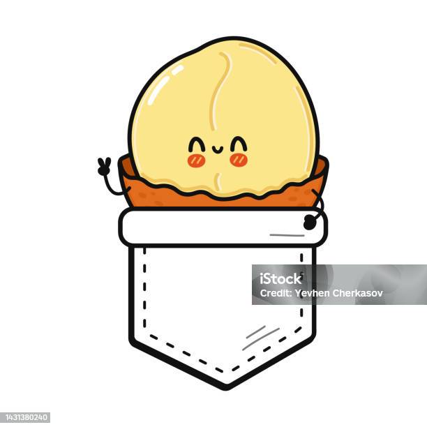 Cute Funny Macadamia Pocket Tshirt Printvector Cartoon Doodle Line