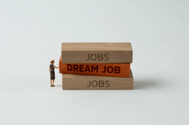 Dream Job Pictures | Download Free Images on Unsplash