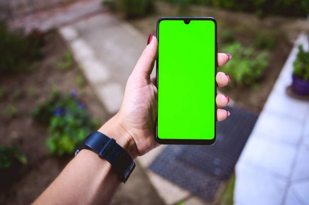 Scrolling Pictures | Download Free Images on Unsplash