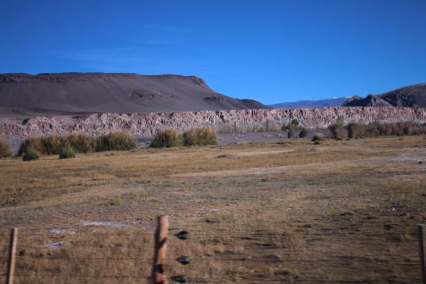 Free picture: Marshland on plateau in Catamarca desert in Argentina