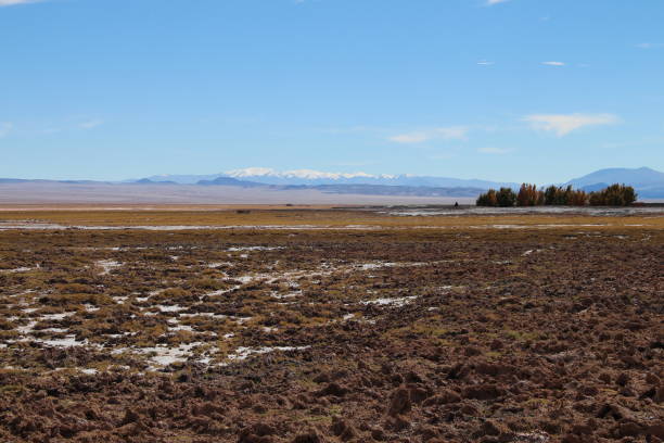 Free picture: Marshland on plateau in Catamarca desert in Argentina