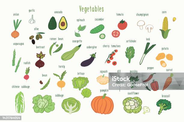 Vegetables Healthy Food Vector Illustrations Set Stock Illustration ... Vegetables Healthy Food Vector Illustrations Set Stock Illustration ...
