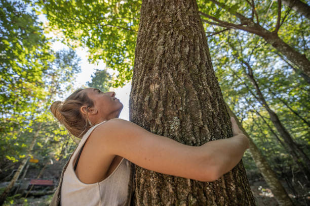 Free Stock Photo of young woman hugging a big tree in the woods ...