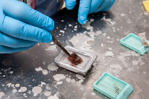 Scientist Embedding Tissues In Paraffin Blocks For Sectioning Pathology