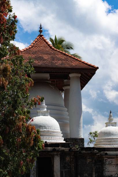 Vihara Pictures | Download Free Images on Unsplash